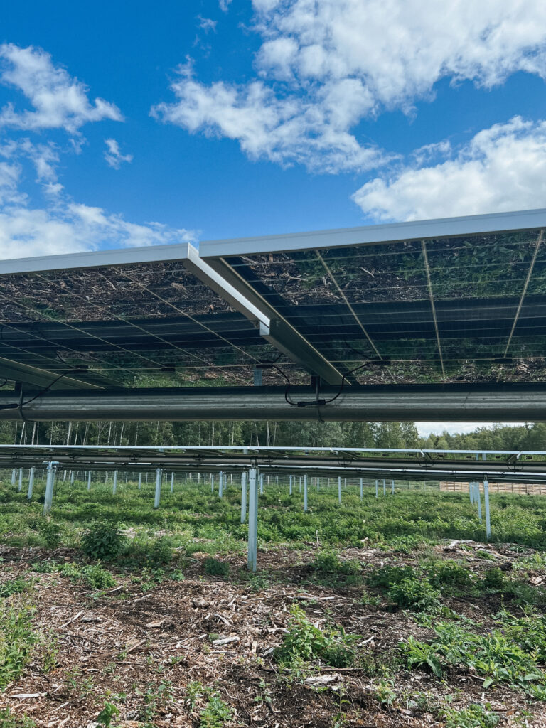 We build green energy parks | WiSo Engineering